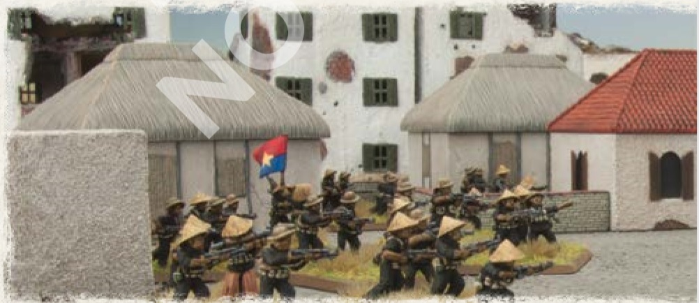 NAM Nationalist Forces – Part 2 The Local Force and Special Task ...
